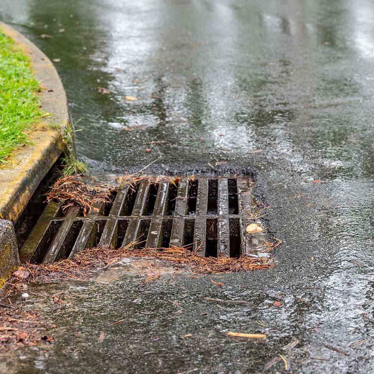 Blocked Stormwater Drains – Nichols Plumbing & Gas